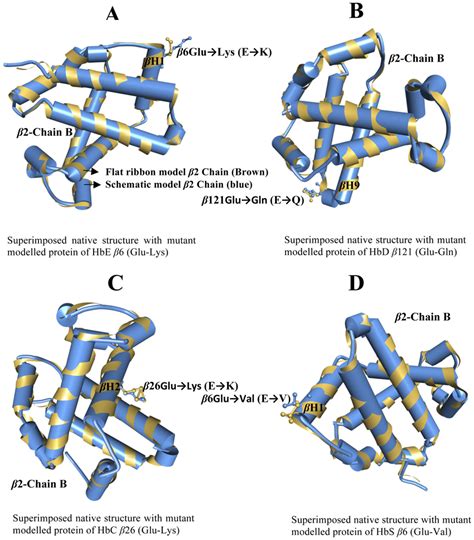 The Superimpose Alignments Of Crystal Structure Of Human Download Scientific Diagram