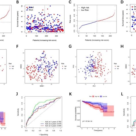 Prognostic Analysis Of The 9 Gene Signature Model In The Tcga Cohort