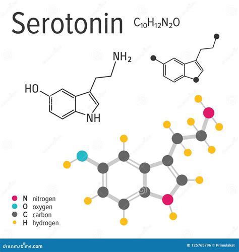 Serotonin Molecule Is A Monoamine Neurotransmitter Structural Cartoon Vector Cartoondealer