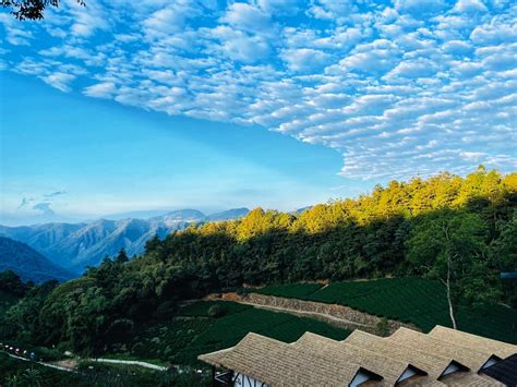 阿里山。天一休閒民宿tianyi Homestay 阿里山。天一休閒民宿tianyi Homestay