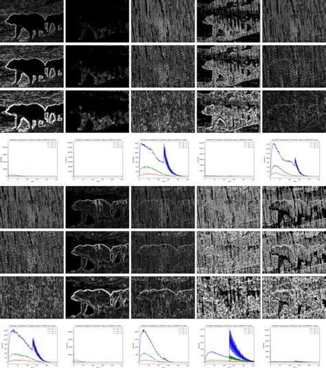 The Gradient Visualization Of Feature Maps At Different Scales And Download Scientific Diagram