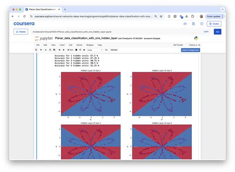 Overfitting Example Not Working As Intended Programming Assignment