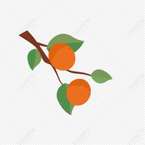 오렌지 Png 일러스트 무료 다운로드 Lovepik