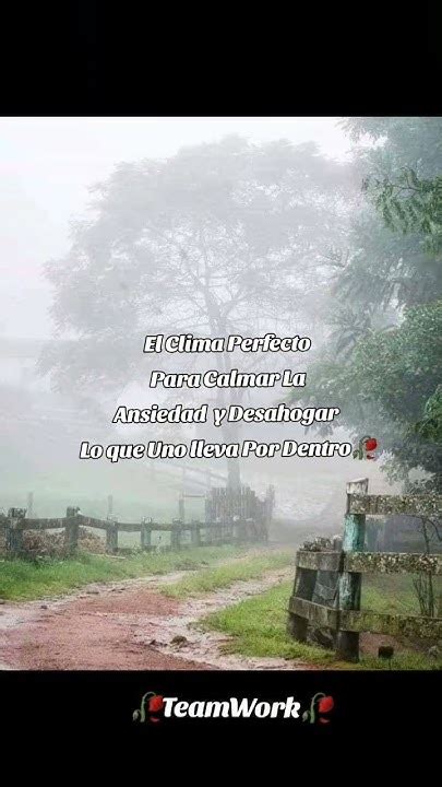 Fypシ゚ Sad Ansiedad Viralvideoshorts Youtubeshorts Teamwork Youtube