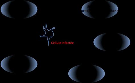 Mécanismes Cellulaires à Lorigine Au Cours De Linfection Au Vih à Download Scientific Diagram