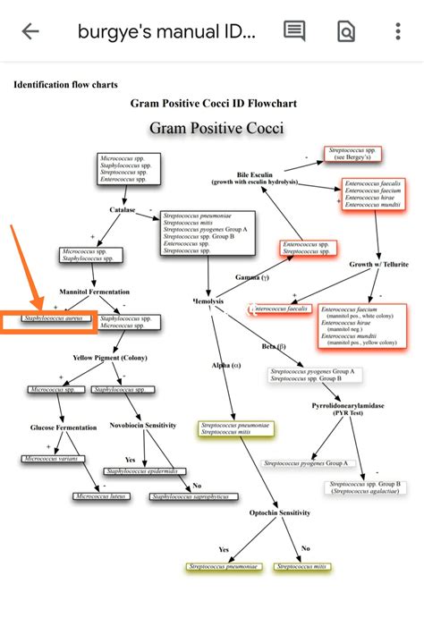 Solved Identification Of Bacterial Organism Name Of Bacterial Organism Course Hero