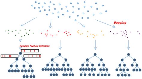 [ml algorithm] random forest jess chen medium