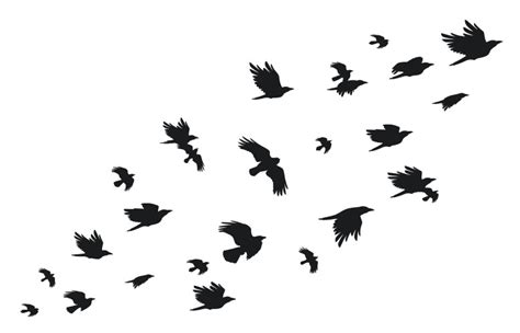 Flying Crows Royalty Free Vector Image Vectorstock