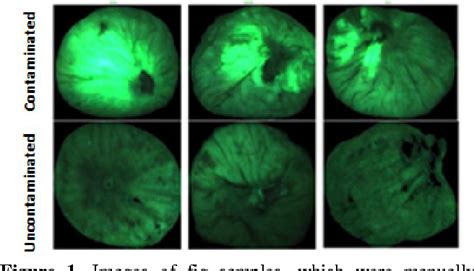 Figure 1 From Detection Of Aflatoxin Contaminated Figs Using Near Infrared Nir Reflectance