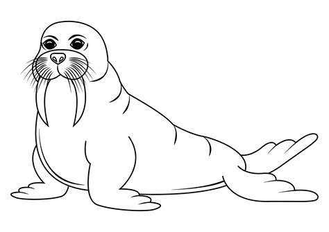 Black And White Walrus Cartoon Character Vector Coloring Page Of