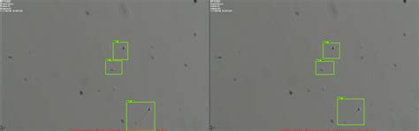 Deepsperm Sententious