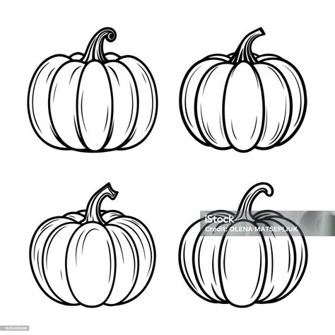 Siluet Labu Hari Thanksgiving Siluet Halloween Sketsa Labu Hitam Labu