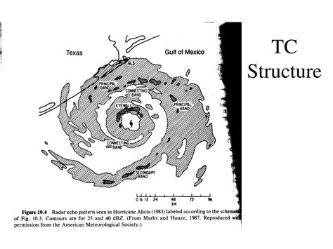 Ppt Tc Structure Powerpoint Presentation Free Download Id5771822