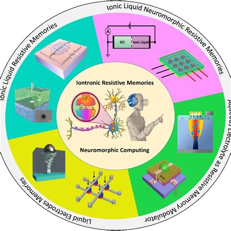 Spiking Response Between The Transmitting Presynaptic Neuron And The
