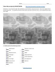 Virtual Microscope Lab Docx Name Date Virtual Microscope By BIONETWORK