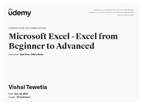 excel udemy pdf