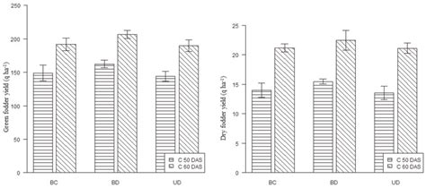 Effect Of Planting Techniques And Cutting Practices On Green Fodder Download Scientific Diagram