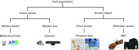 Sensing Modalities For Gait Acquisition The Gait Sequences Are Download Scientific Diagram