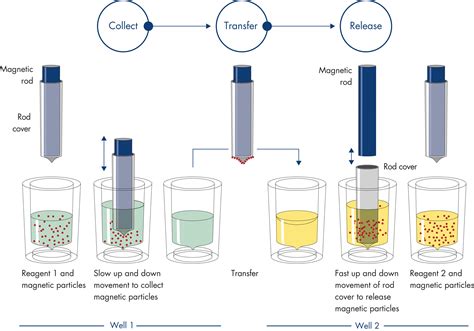 qiasymphony dsp dna mini kit qiagen 优宁维 univ 商城