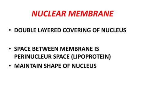 Nucleous Pptx Biological Sciences Science