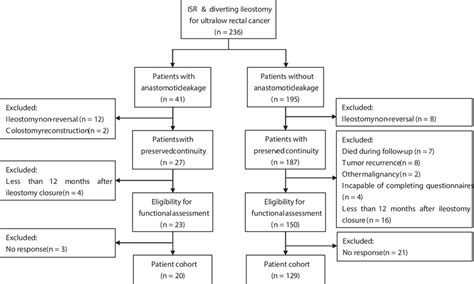 Flow Chart Of Functional Evaluation Download Scientific Diagram