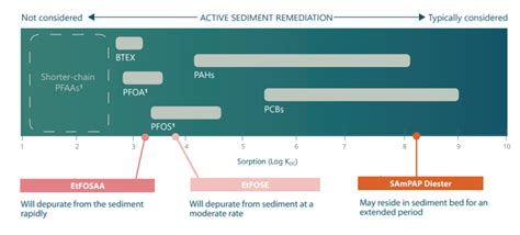 Addressing Pfas In The Environment Part 3 Anchor Qeas Sediment And Surface Water Model