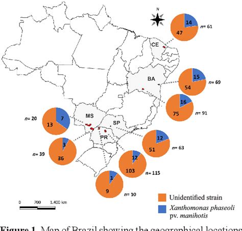 Figure 1 From Genetic Diversity Of Xanthomonas Phaseoli P V Manihotis