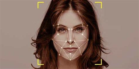 Identity Verification Criminal Background Check