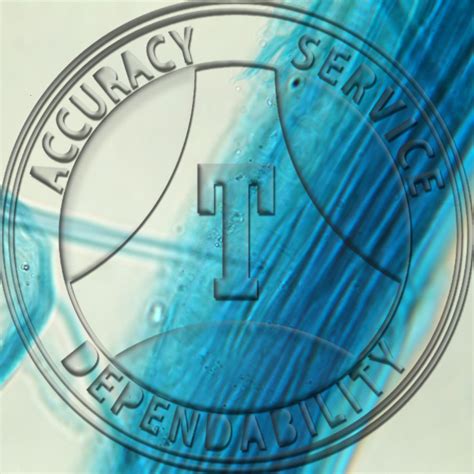 Fraxinus Americana Macerated Wood Prepared Microscope Slide