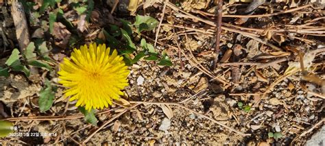 갑수 인간의 정신은 우주의 영광인 동시에 수치다 파스칼 인간이 정신은 엄청난 힘을 지니지만 일반적인 기능장애로 잘못된 결론에 이르는 경우도 많다