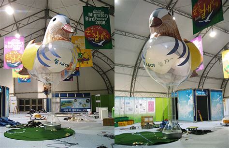 2006 군산 철새축제 에이비알