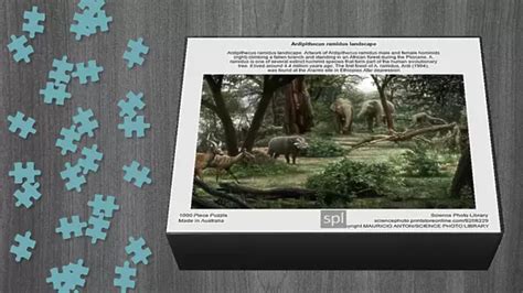Jigsaw Puzzle Of Ardipithecus Ramidus Landscape Artwork Of