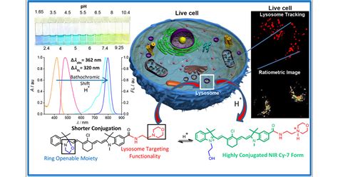Acidic Ph Activatable Visible To Near Infrared Switchable Ratiometric
