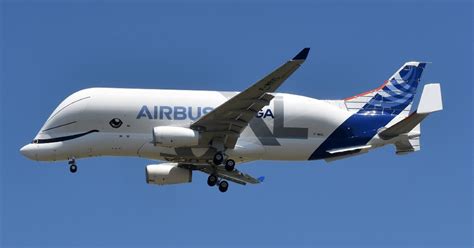 하늘을 나는 흰 돌고래 에어버스 벨루가xl 시험비행 성공