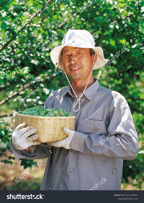 5185 한국 농부 이미지 스톡 사진 및 벡터 Shutterstock