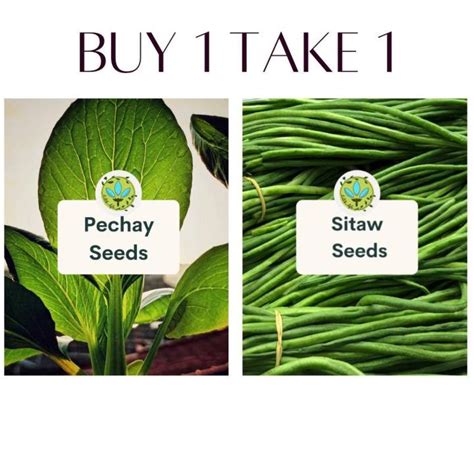 Buy 1 Take 1 Pechay 100 Seeds And Sitaw 20 Seeds Binhi Pangtanim Lazada Ph