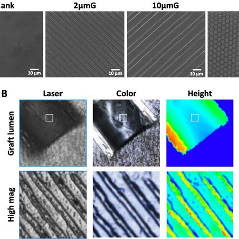 Polyvinyl Alcohol Pva Hydrogel Patterning And Characterization A Download Scientific