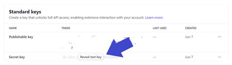 How Do You Make Requests To The Stripe Api