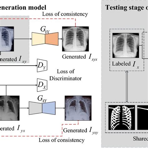The Proposed Usamsn Framework For Rib Segmentation In X Ray Images It