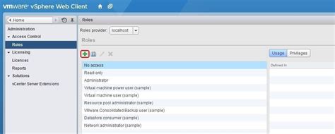 create custom role vmware esxi