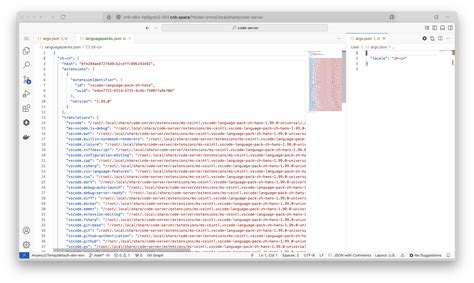 Vscodecode Server 安装中文包——cicdcode Server 中文 Csdn博客