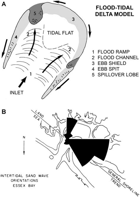 Flood Tidal Deltas A General Model Arrows Indicate Dominant