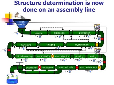 Ppt Predicting The Function Of A Protein Form Either A Sequence Or A Structure Is Not Trivial