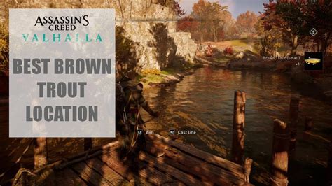 Assassins Creed Valhalla How To Find Brown Trout Swlhhe