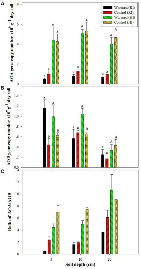 Frontiers | Response of Nitrifier and Denitrifier Abundance and Microbial Community Structure to ...