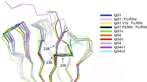 Structural Consequence Of Mutation At Position 238 Reveals An Altered