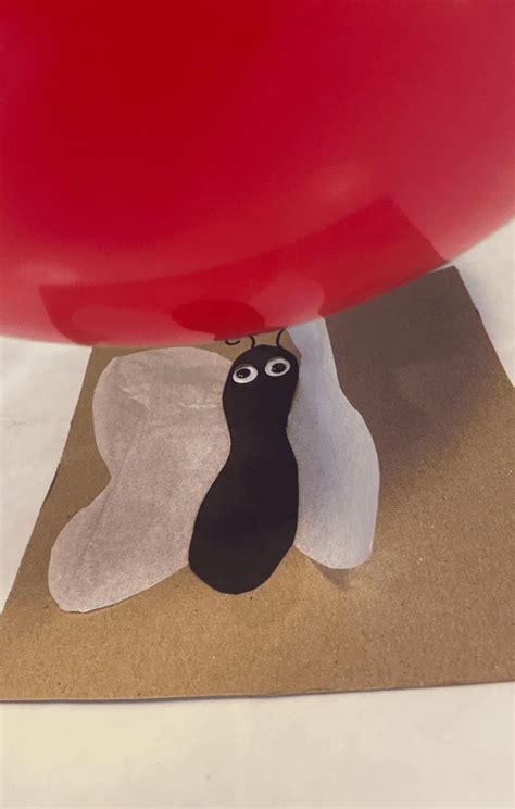 Static Electricity Experiment