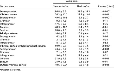 Cell Type Specificity Of Intracortical Axon Projection Patterns Of L5