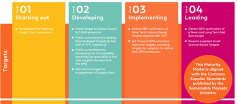 Decarbonization Maturity Model Psci