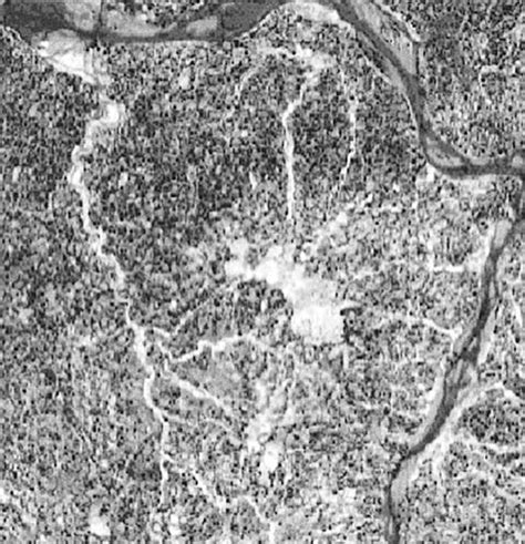 Figure 1 From Locating Landslides Using Multi Temporal Satellite Images Semantic Scholar